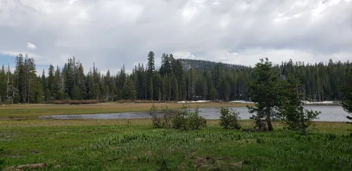 10 Best Off Road Driving Trails in Tahoe National Forest | AllTrails