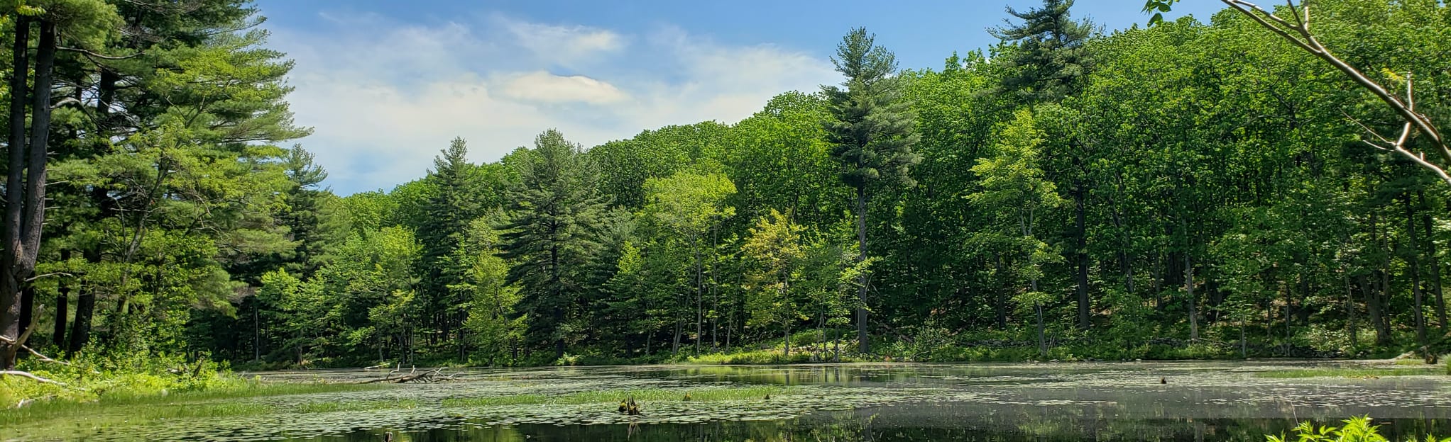 Clifton, Phoebe Rock, Seavey, Skyview, Gumpus, and Spalding Hill Trail ...