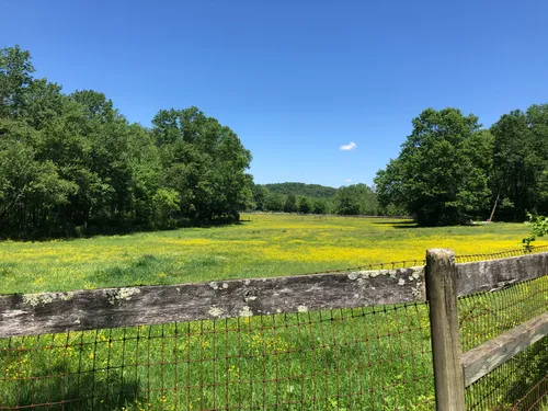 Best Hikes and Trails in Natural Lands' Binky Lee Preserve | AllTrails