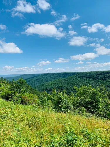 10 Best Trails and Hikes in Sewanee | AllTrails