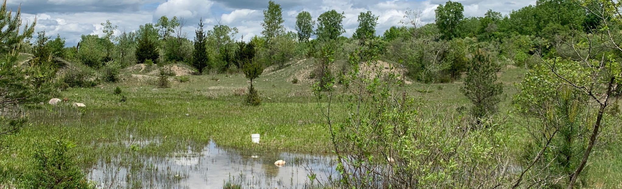 Fox Science Preserve Trail, Michigan - 46 Reviews, Map | AllTrails