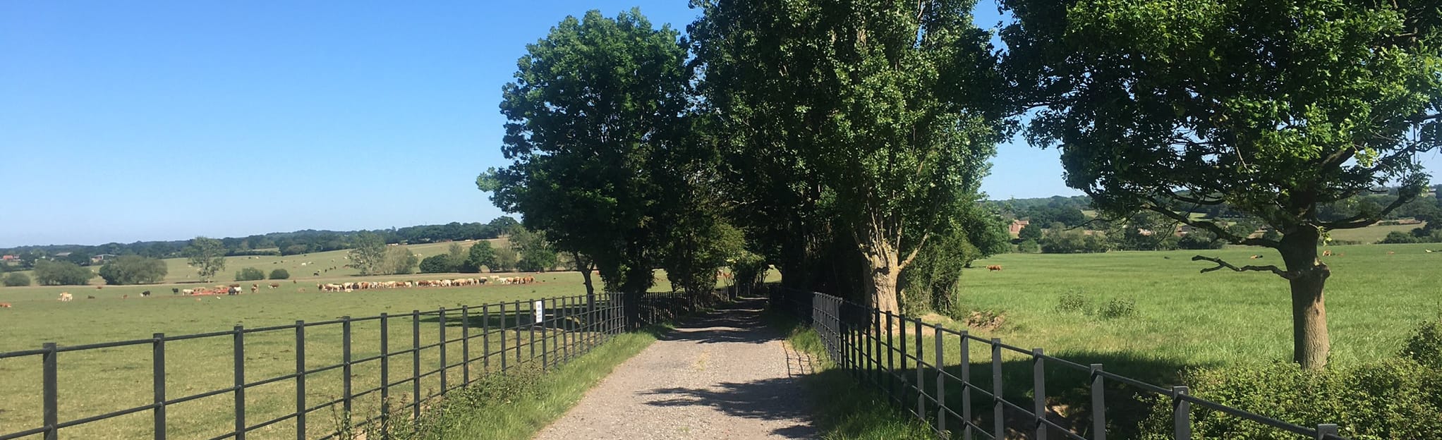 Galleywood Common Route, Essex, England - 21 Reviews, Map | AllTrails