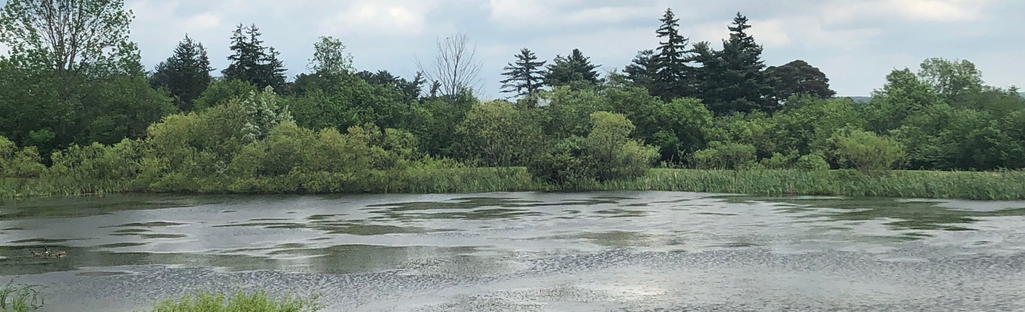 Knox Farm Trail, New York - 811 Reviews, Map | AllTrails