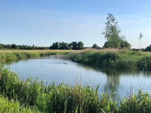 10 Best Trails and Hikes in Cambridgeshire | AllTrails