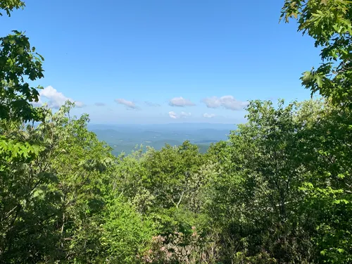 10 Best Hikes and Trails in Blue Ridge Wildlife Management Area | AllTrails