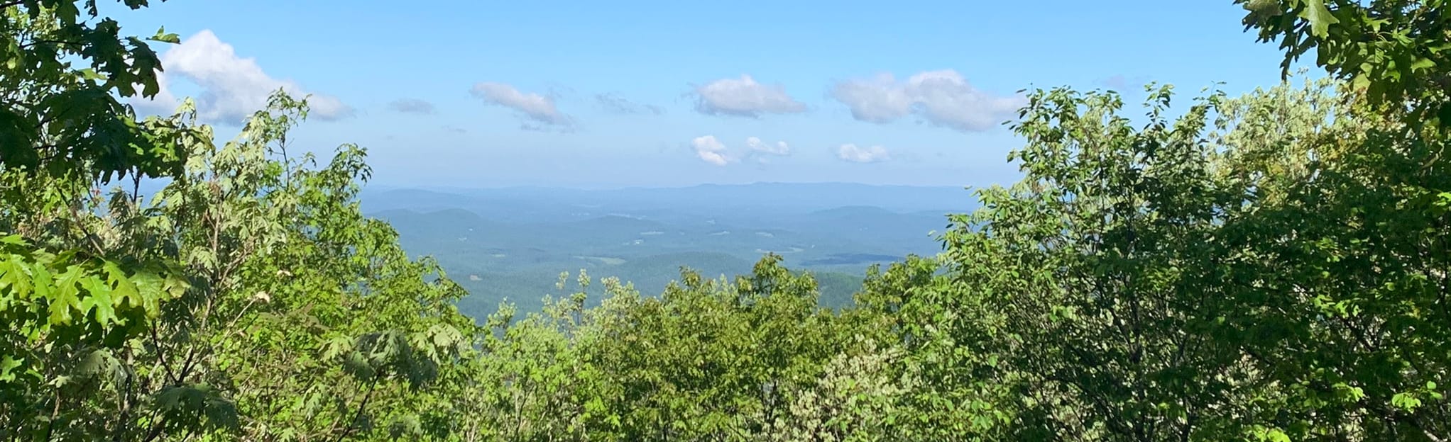 Springer Mountain, Georgia - 573 Reviews, Map | AllTrails