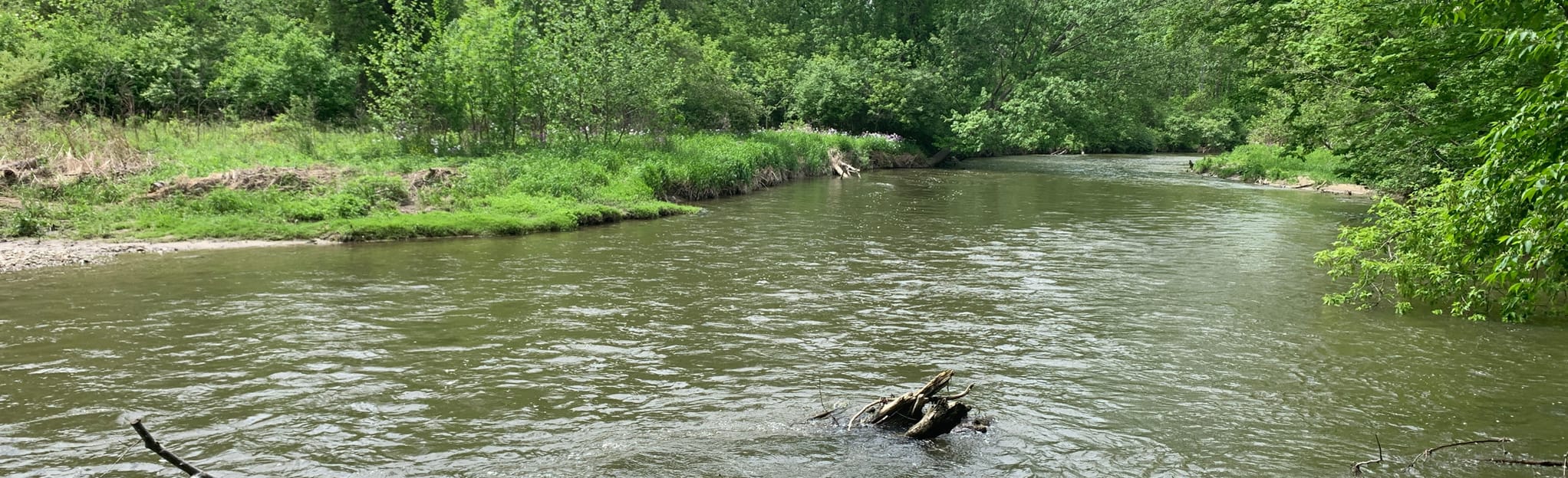 Holland Ponds to Yates Cider Mill, Michigan - 474 Reviews, Map | AllTrails