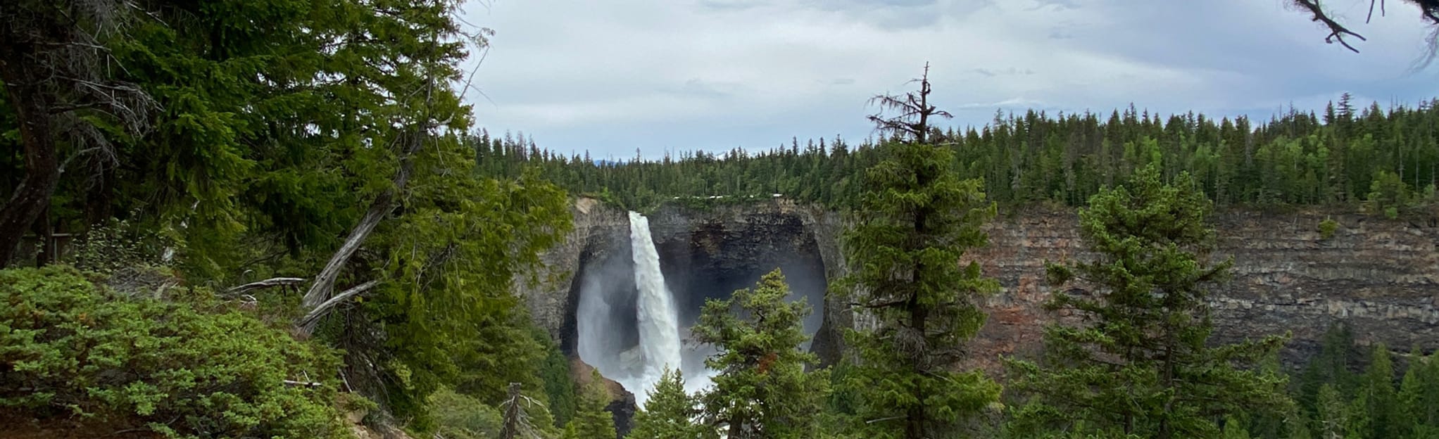 Gatling Gorge Trail: 41 Reviews, Map - British Columbia, Canada | AllTrails
