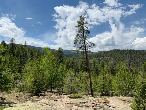 10 Best Trails and Hikes in Conifer | AllTrails