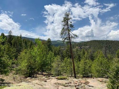 2023 Best 10 Trails and Hikes in Evergreen | AllTrails