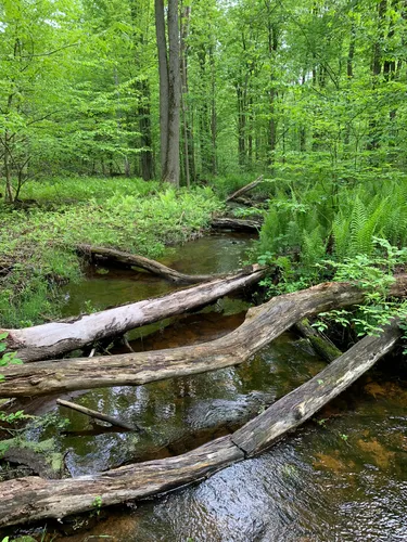 10 Best Trails and Hikes in Halton Hills | AllTrails