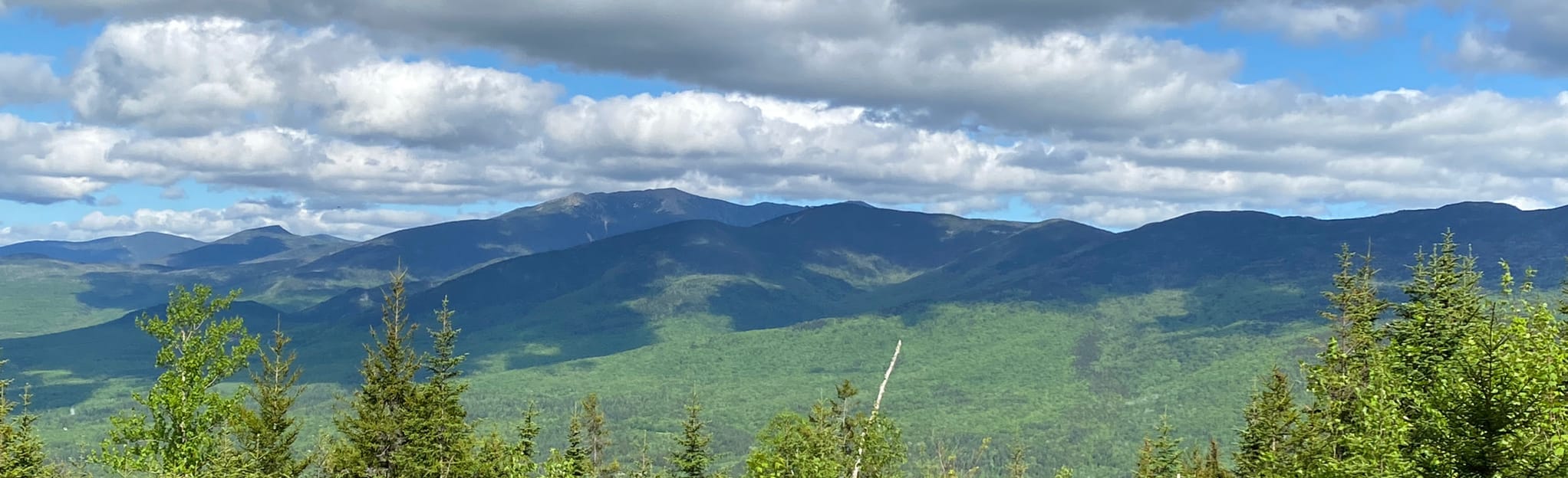 Cooley-Jericho Yellow and Blue Trail Loop | Map, Guide - New Hampshire ...