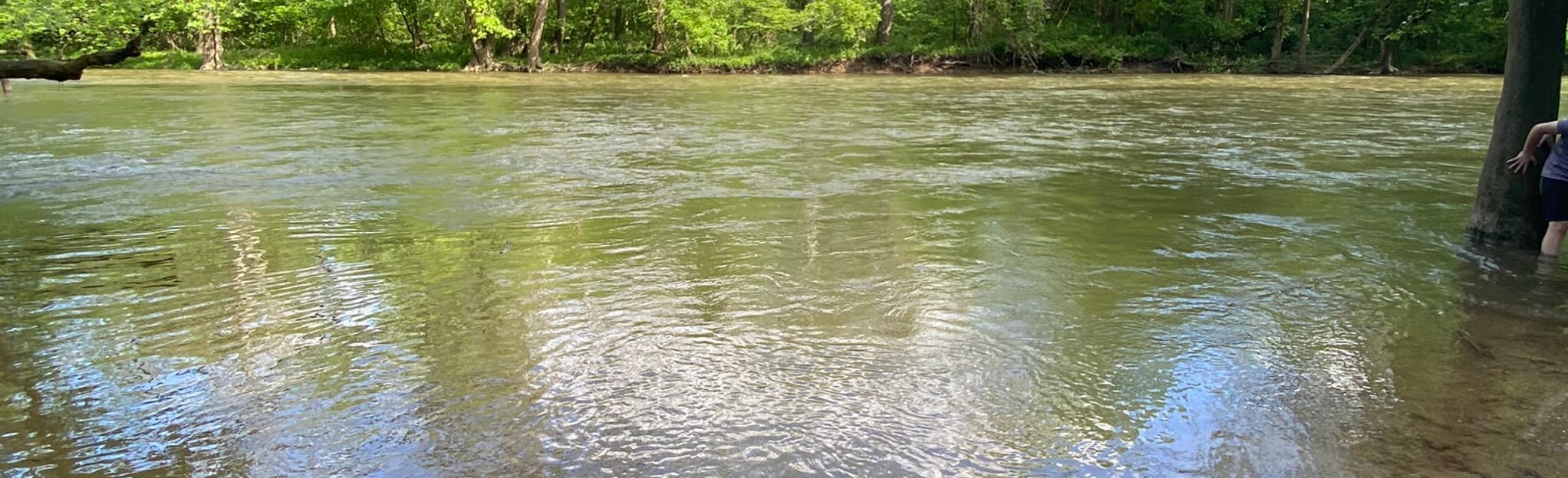 Wagtail Trail, Ohio - 191 Reviews, Map | AllTrails