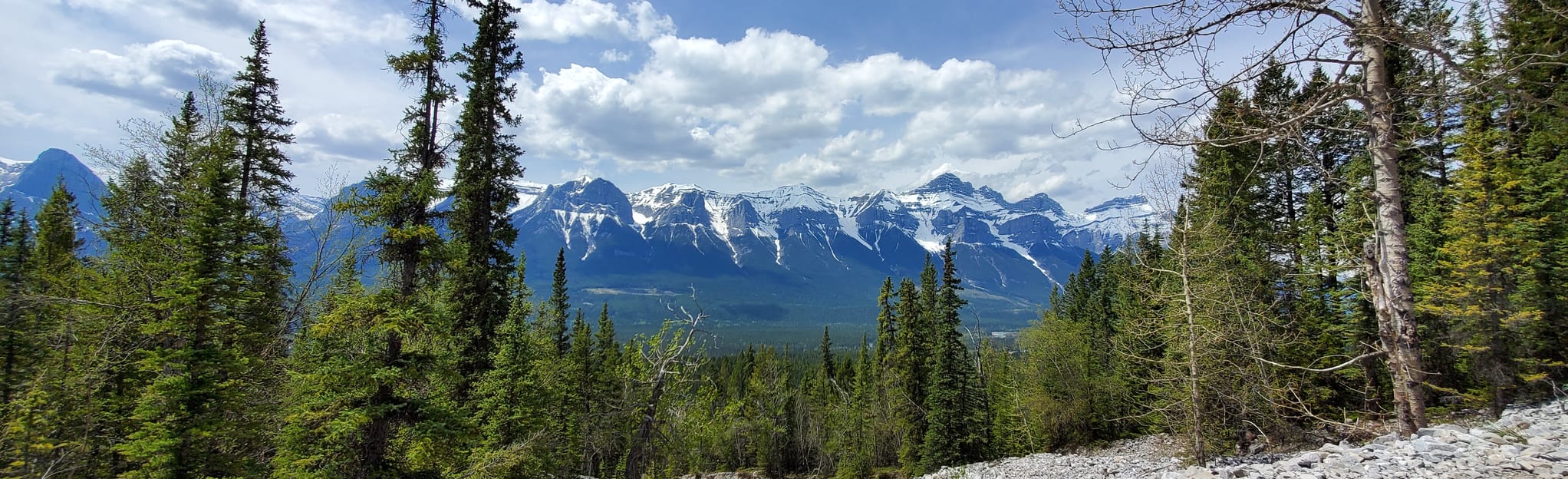 Montane Traverse Trail, Alberta, Canada - 197 Reviews, Map | AllTrails