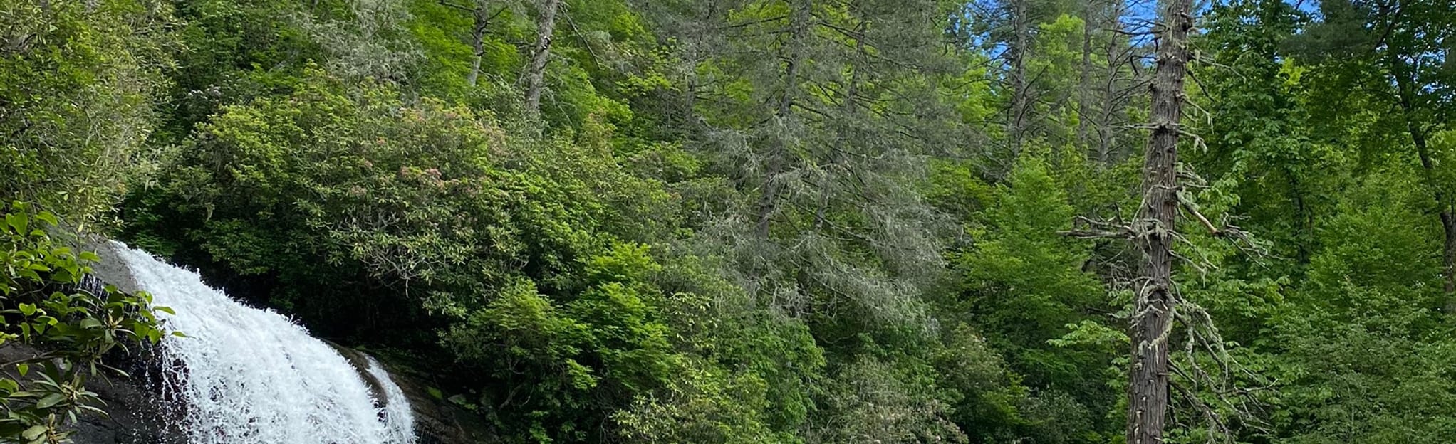 Silver Run Falls: 429 Reviews, Map - North Carolina | AllTrails