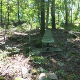 Lake Ouachita Vista Trail (LOViT), Arkansas - 85 Reviews, Map | AllTrails