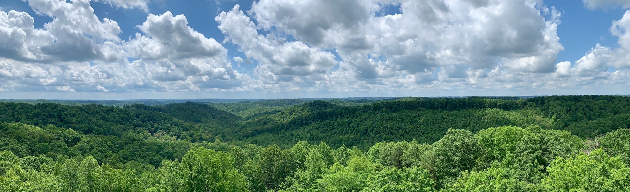 Day Hike Trail, Copperhead Fire Tower, and Bear Lake: 12 Reviews, Map ...