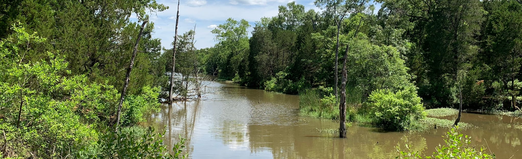 Beaver Slide Nature Park Loop, Texas - 217 Reviews, Map | AllTrails