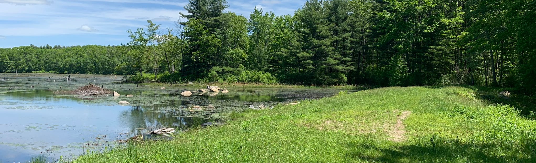Natchaug and Nipmuck Trail: Hartford Turnpike to Big Hollow Road ...