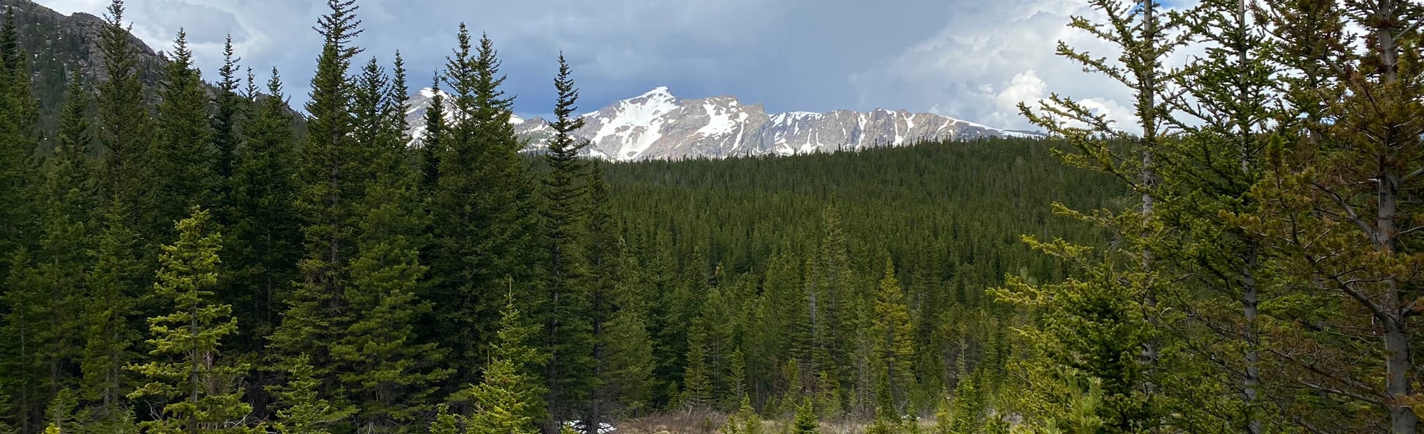 Boulder Brook Trail, Colorado - 115 Reviews, Map | AllTrails