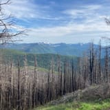 Hall Mountain Trail, Washington - 47 Reviews, Map | AllTrails