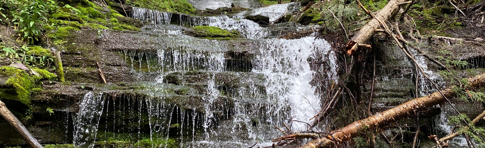 AllTrails | Chimney Hollow Falls: 46 Reviews, Map - Pennsylvania