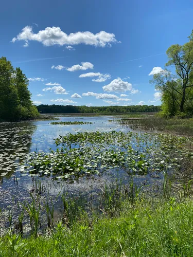 Best 10 Hikes and Trails in Waterloo State Recreation Area | AllTrails