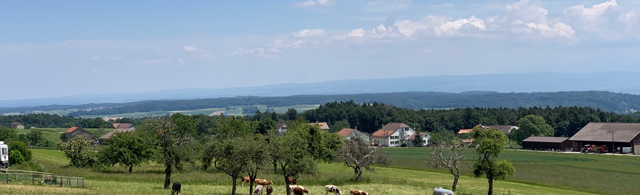 Longirod - Saint-George - Gimel, Vaud, Switzerland - 5 Reviews, Map ...