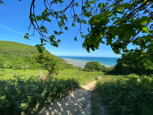 10 Best Hikes and Trails in High Weald Area of Outstanding Natural ...