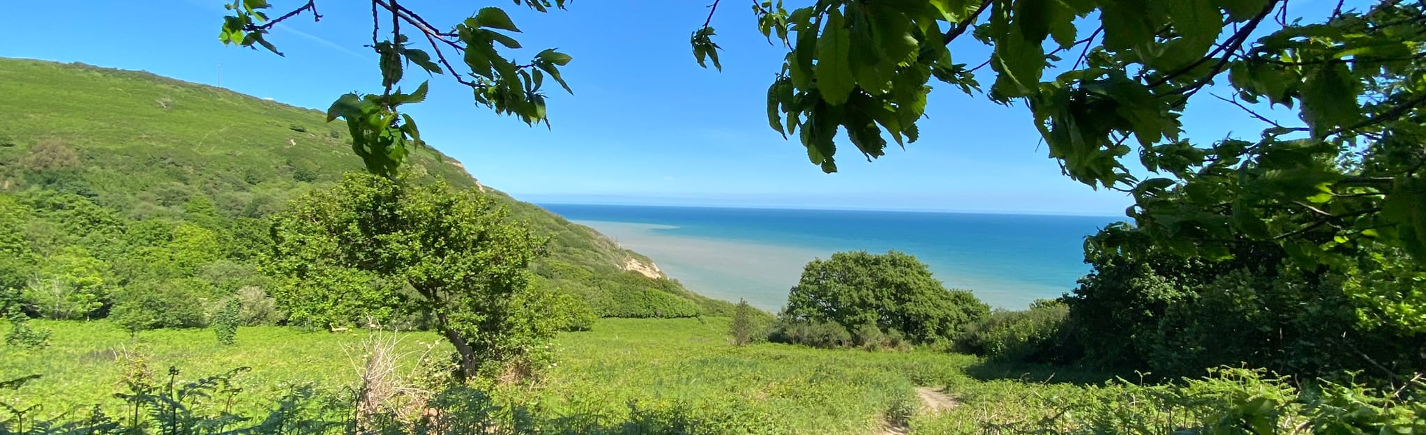 Saxon Shore Way: Hastings to Rye, East Sussex, England - 226 Reviews ...