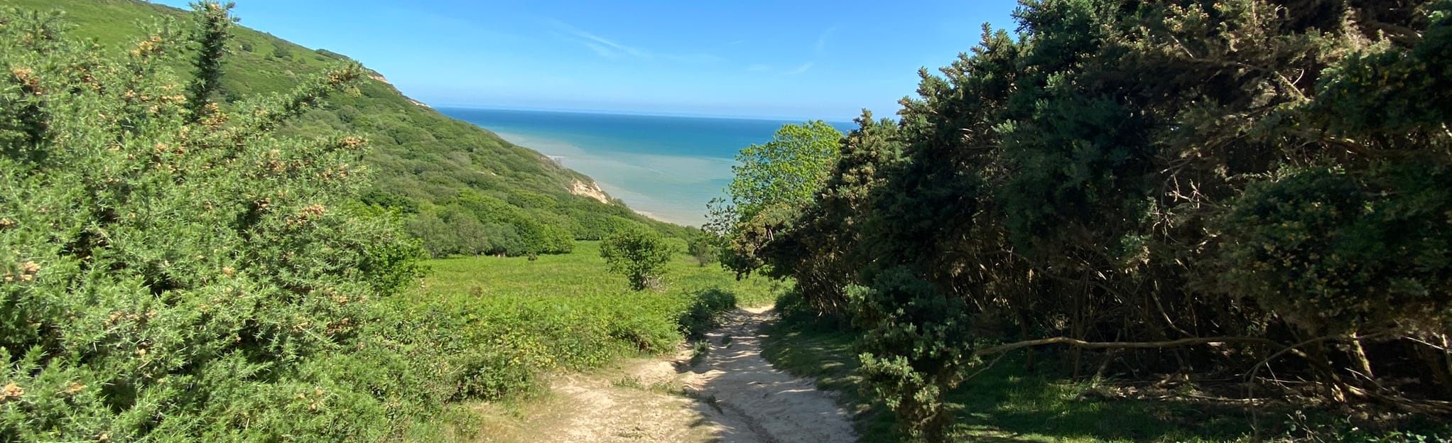 Hastings Country Park: 397 Reviews, Map - East Sussex, England | AllTrails
