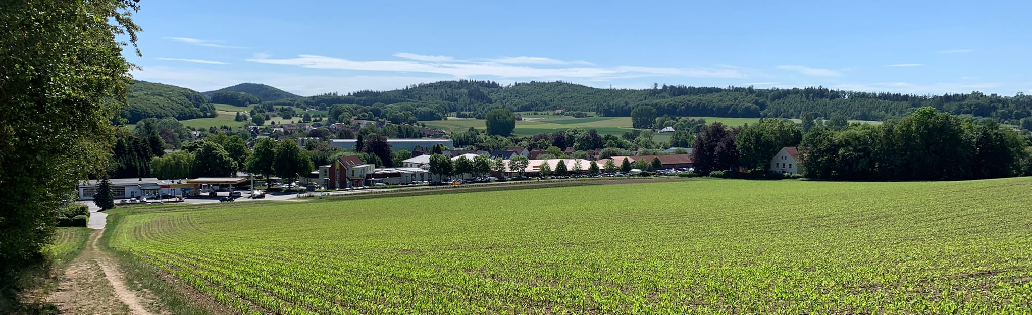 Dissen - Steinhagen, Lower Saxony, Germany - Map, Guide | AllTrails