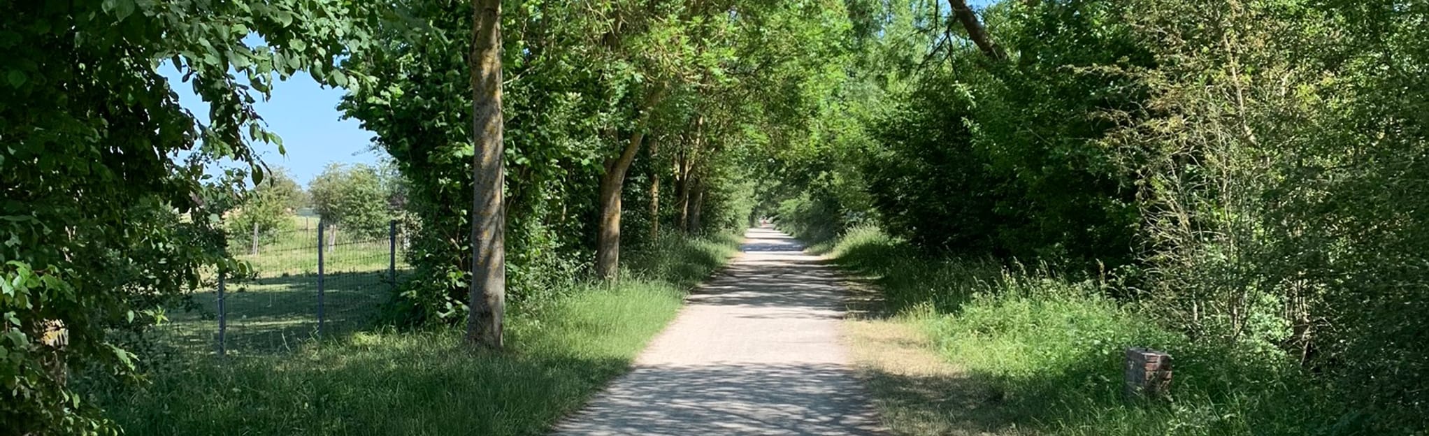 Chemin des Ruisseaux - Bois d’Infière : 91 Photos - Nord, France ...