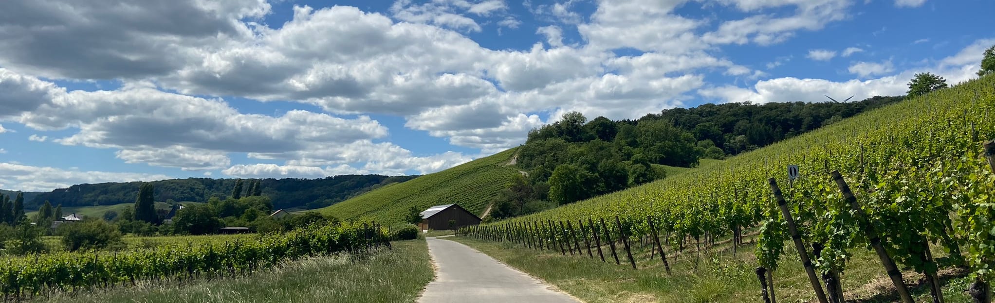 Remerschen- Wintrange, Remich, Luxembourg - 10 Reviews, Map | AllTrails