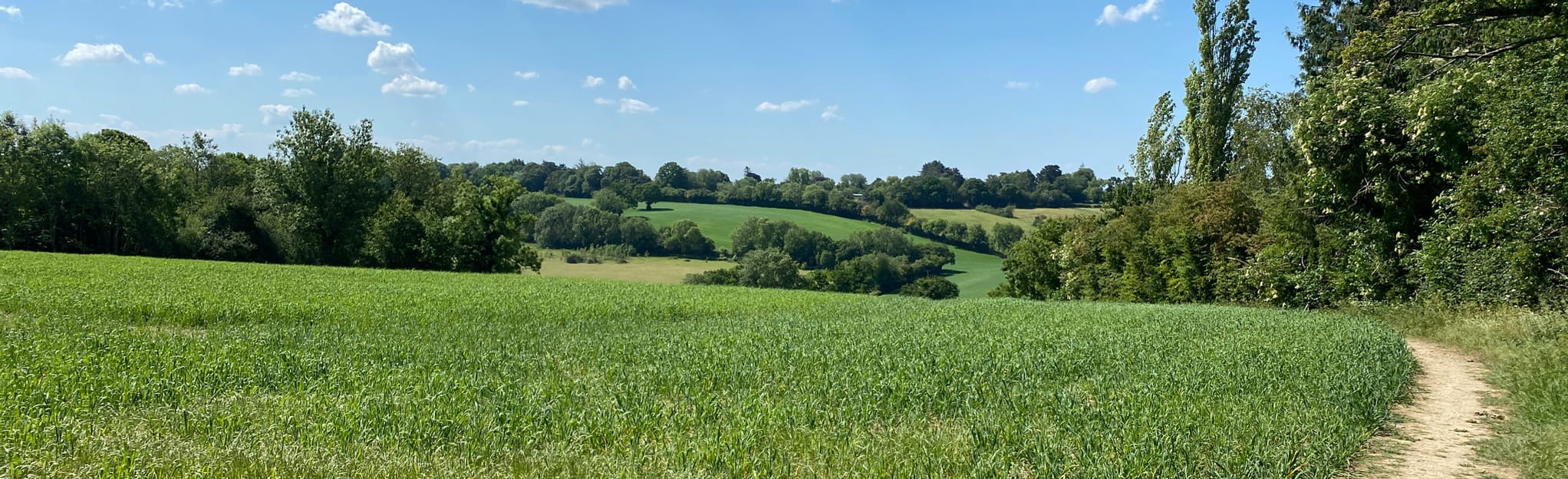 Cholesbury Circular, Hertfordshire, England - 44 Reviews, Map | AllTrails