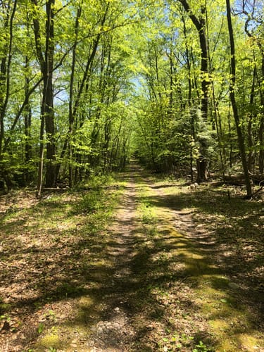 2023 Best 10 Lake Trails in Sandyston Township | AllTrails