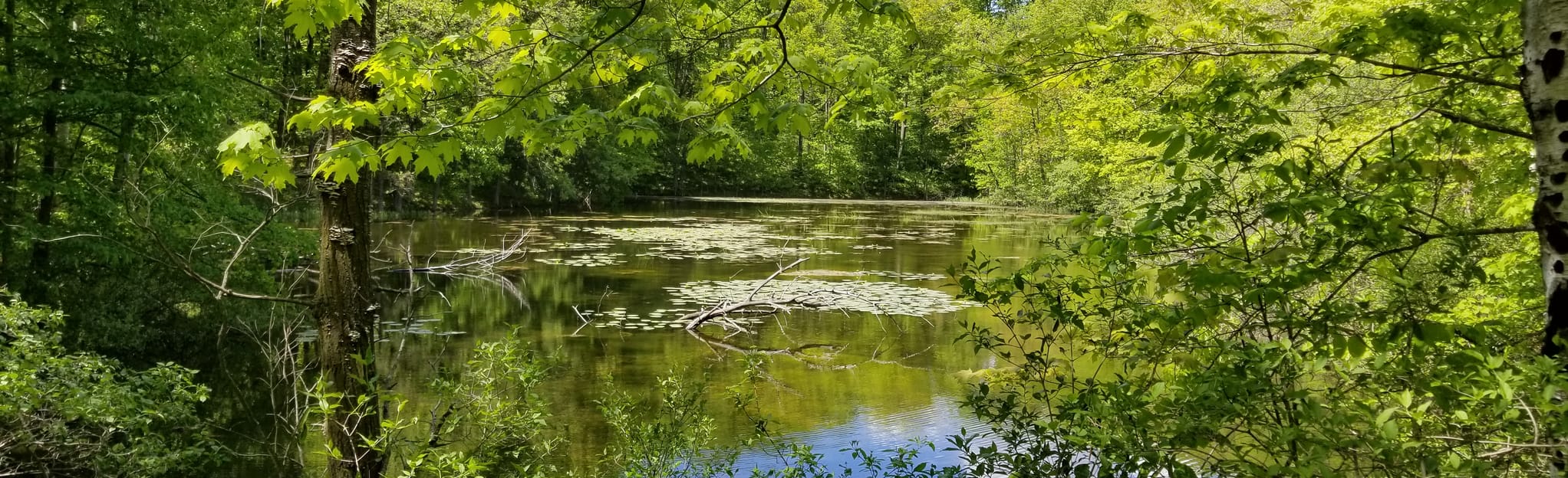 Parnell Tower via Crooked Lake, Wisconsin - 62 Reviews, Map | AllTrails
