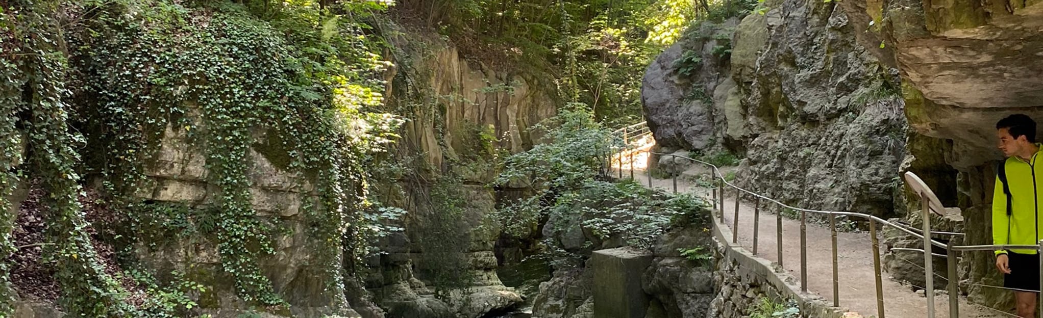 Biel - Evilard: 1 Reviews, Map - Bern, Switzerland | AllTrails