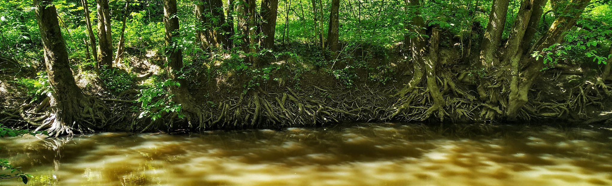 Pilgrimsleden Göta Älv stage 2: Nylöse - Storås | Map, Guide - Västra ...