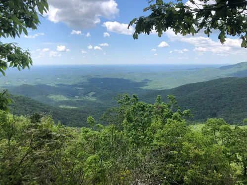 10 Best Hikes and Trails in Chestatee Wildlife Management Area | AllTrails