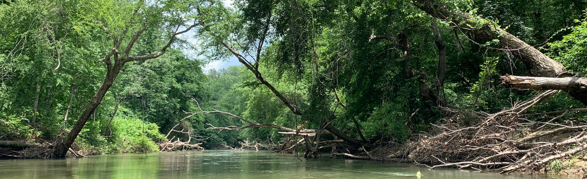 Green River Paddle Trip: Fish Top Access to Lake Adger Marina: 10 ...