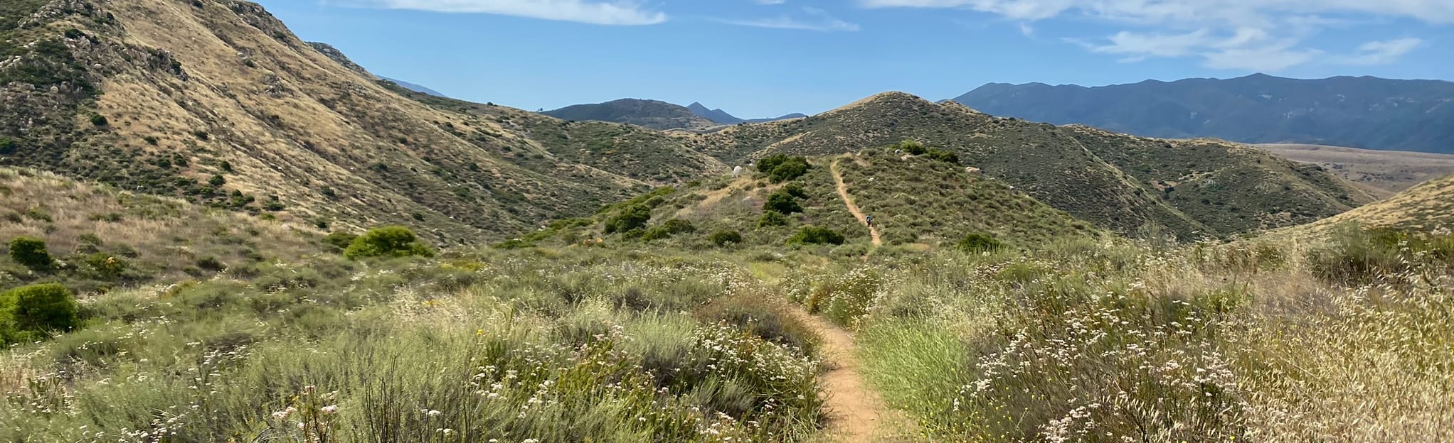 Honey Springs Trail and Daley Ranch Truck Loop - California | AllTrails