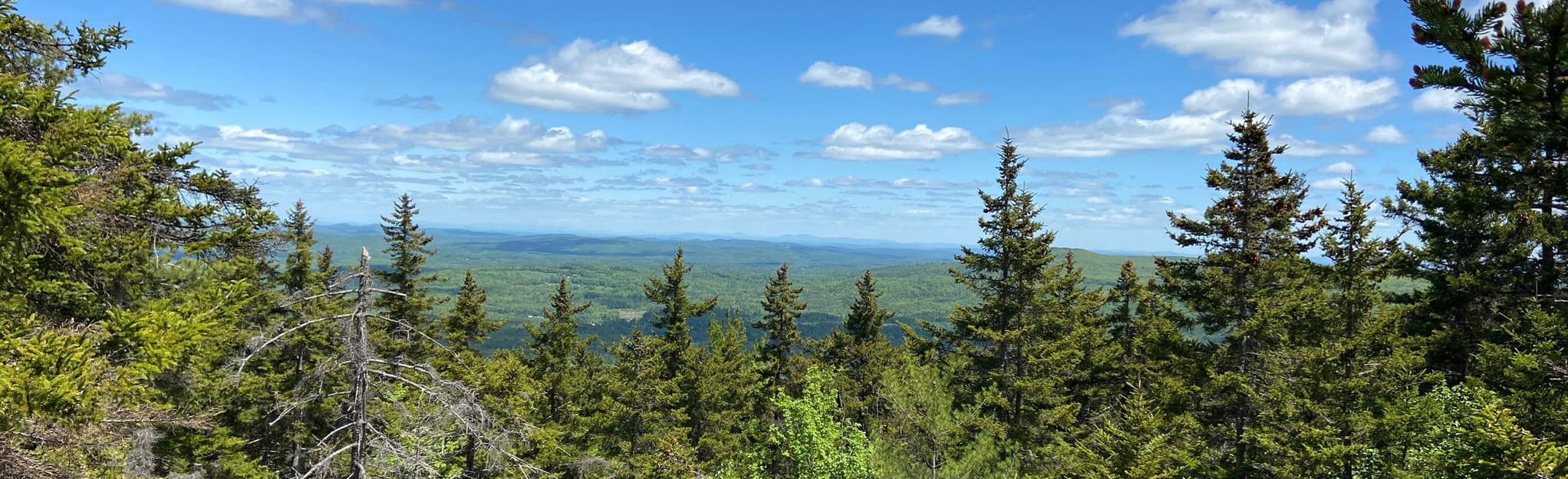 Ted's Trail To North Pack Mountain and Wapack Trail | Map, Guide - New ...