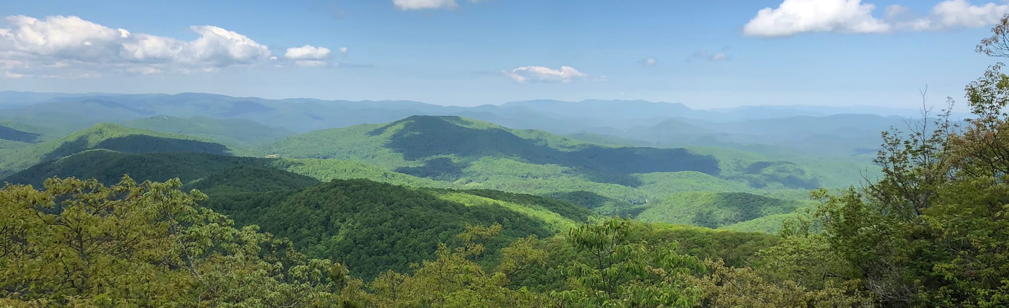 Vogel State Park to Neels Gap: 37 Reviews, Map - Georgia | AllTrails