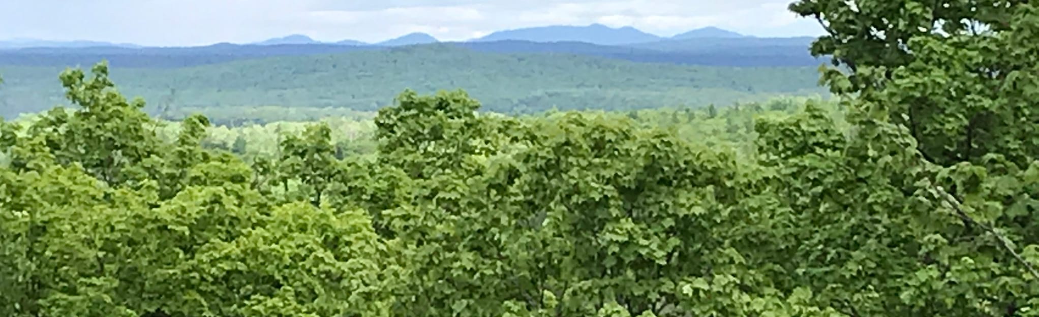 Tooley Pond Mountain Trail: 1 Reviews, Map - New York | AllTrails