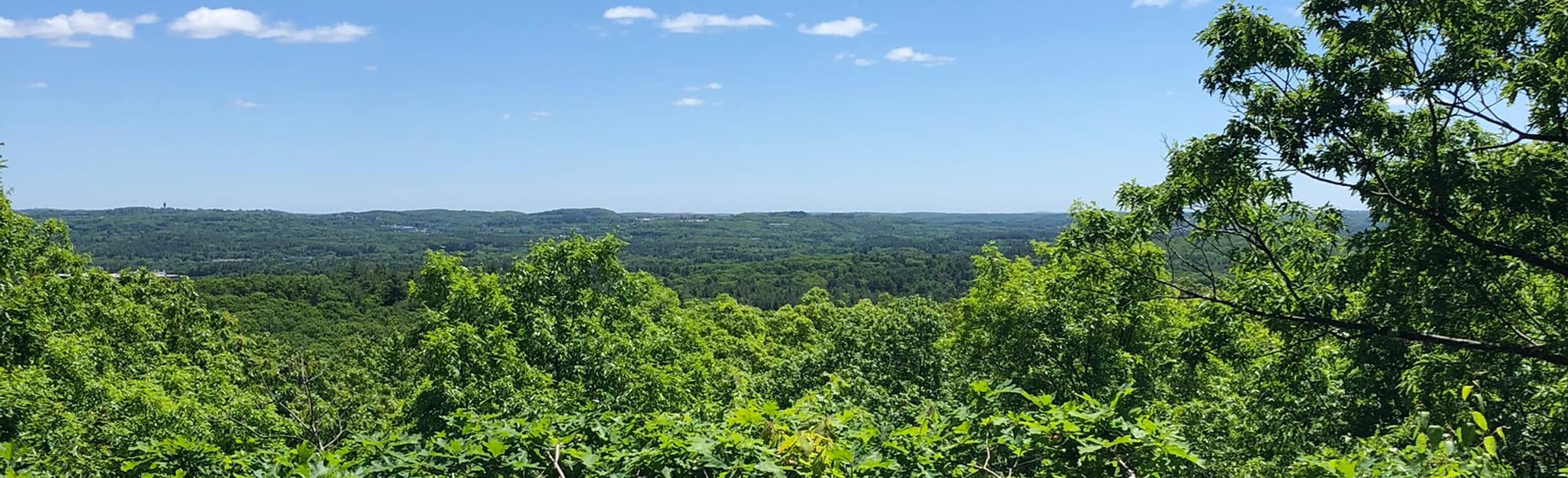 Mentzner, Tyler, Sparrow, Howard Ridge, Green Street to Berlin Road ...