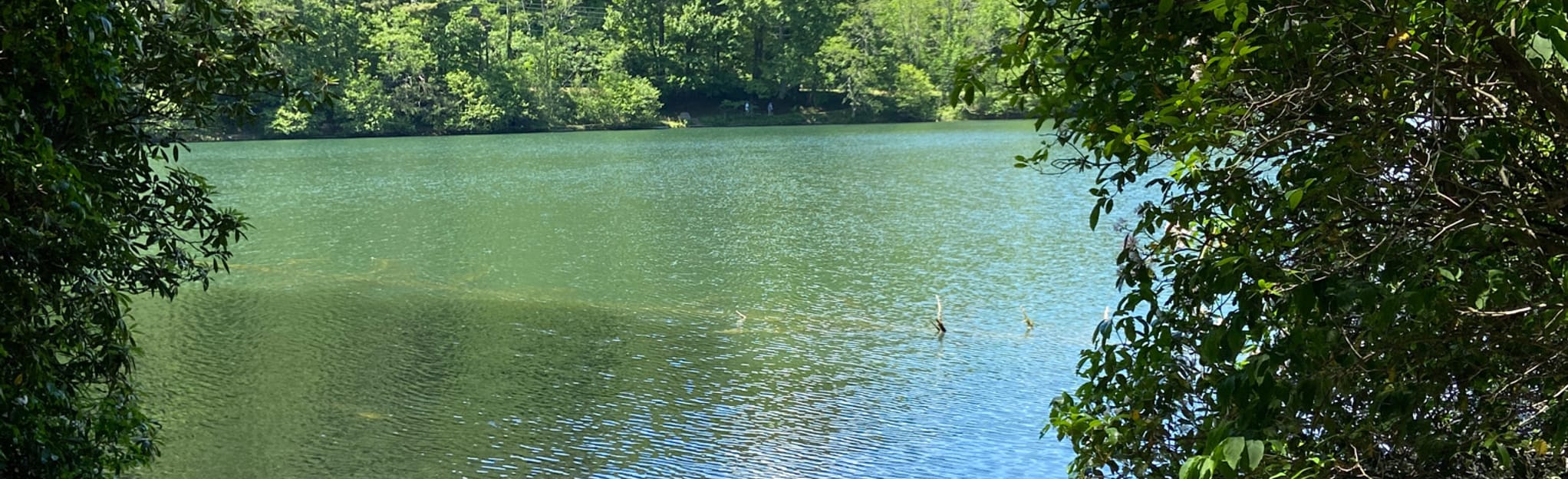 Lake Trahlyta Trail: 961 Fotos - Georgia | Wandern | AllTrails