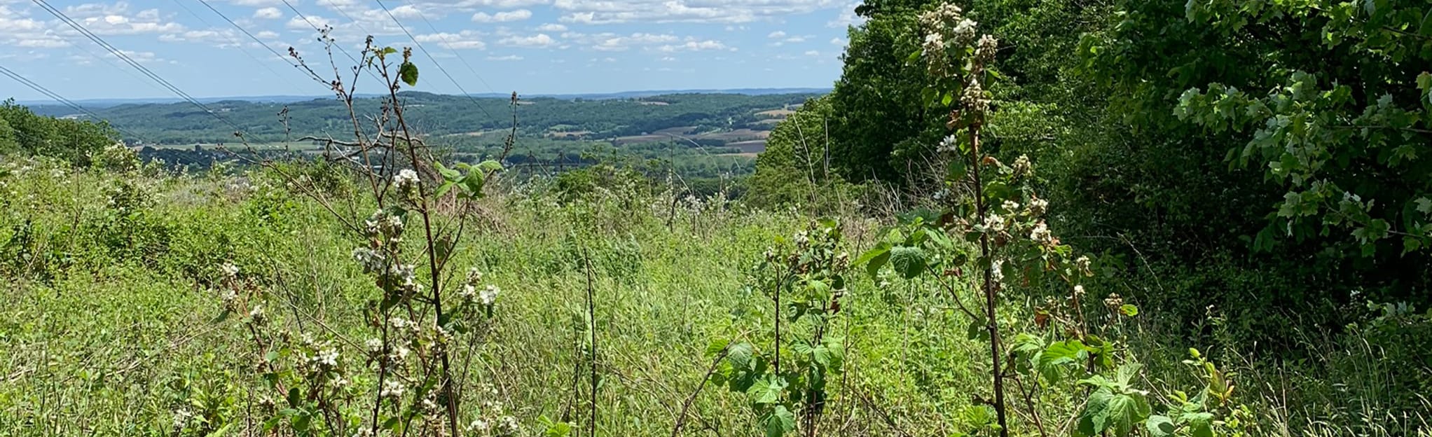 Rocky Ridge Trail 5 to Trail 2 to Trail 1 Loop, Pennsylvania - 250 ...