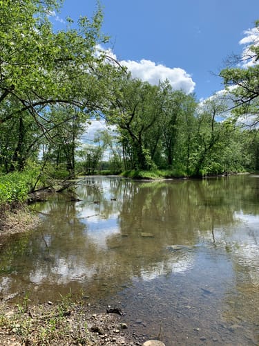 Best Hikes and Trails in Wallkill National Wildlife Refuge | AllTrails