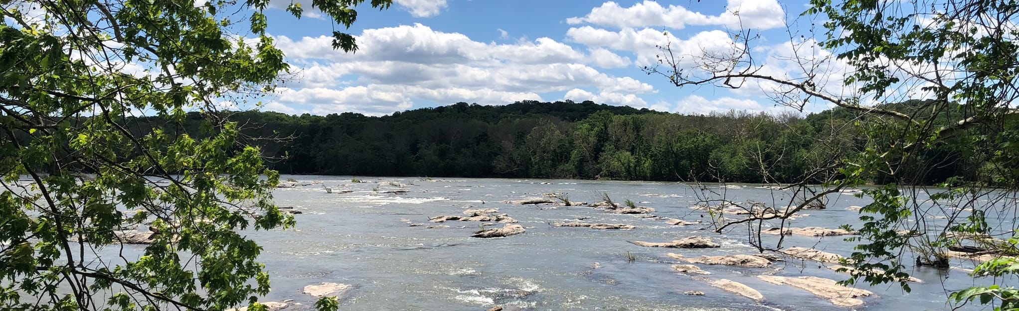Blockhouse Point Loop Trail: 744 Reviews, Map - Maryland | AllTrails